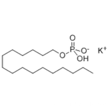 AMPHISOL K CAS 19035-79-1